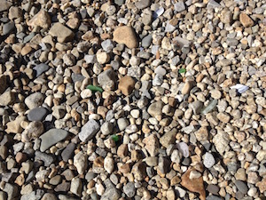 Sea Glass and Storytelling – The Emilie Loring Collection