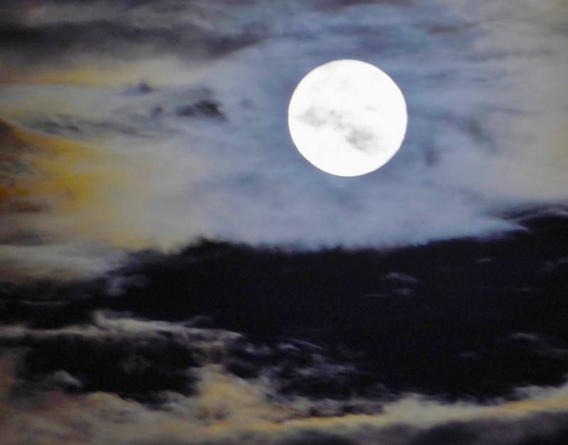 By the Light of the Silvery Moon – The Emilie Loring Collection