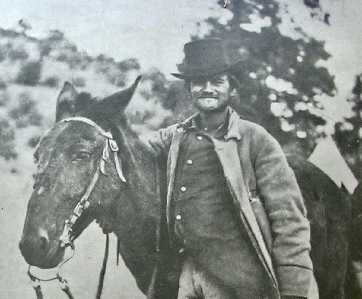 The Awful Editing Process: Fascinating Things that Won’t Make it into ...