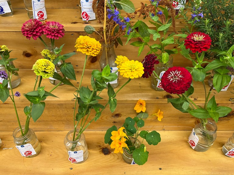 Emilie Loring’s Hollyhock Cretonne: A Delightful Century-Old Find – The ...